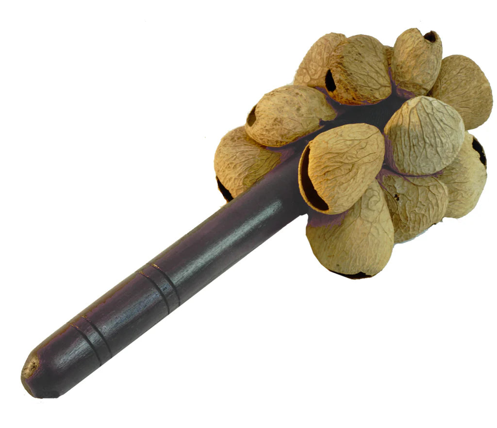 Spice Nut Shaker – The Sound Journey Store - Canada's Largest Selection ...