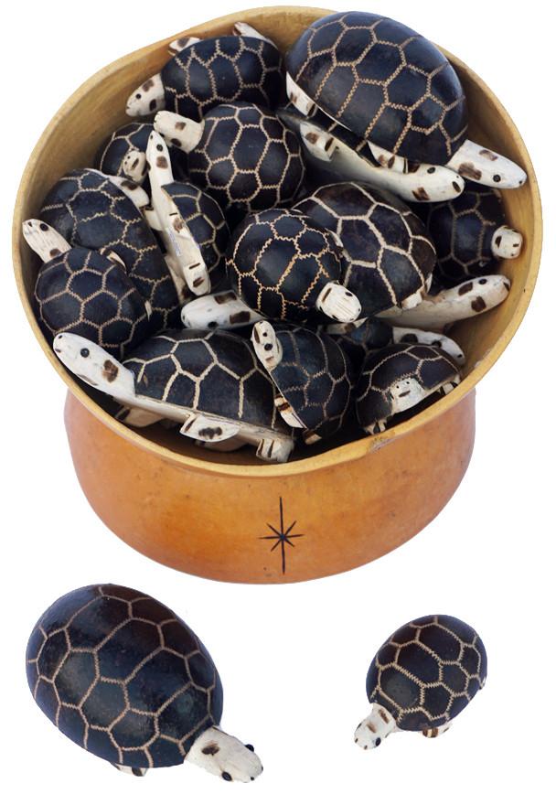 Turtle Family of Shakers – The Sound Journey Store - Canada's Largest ...